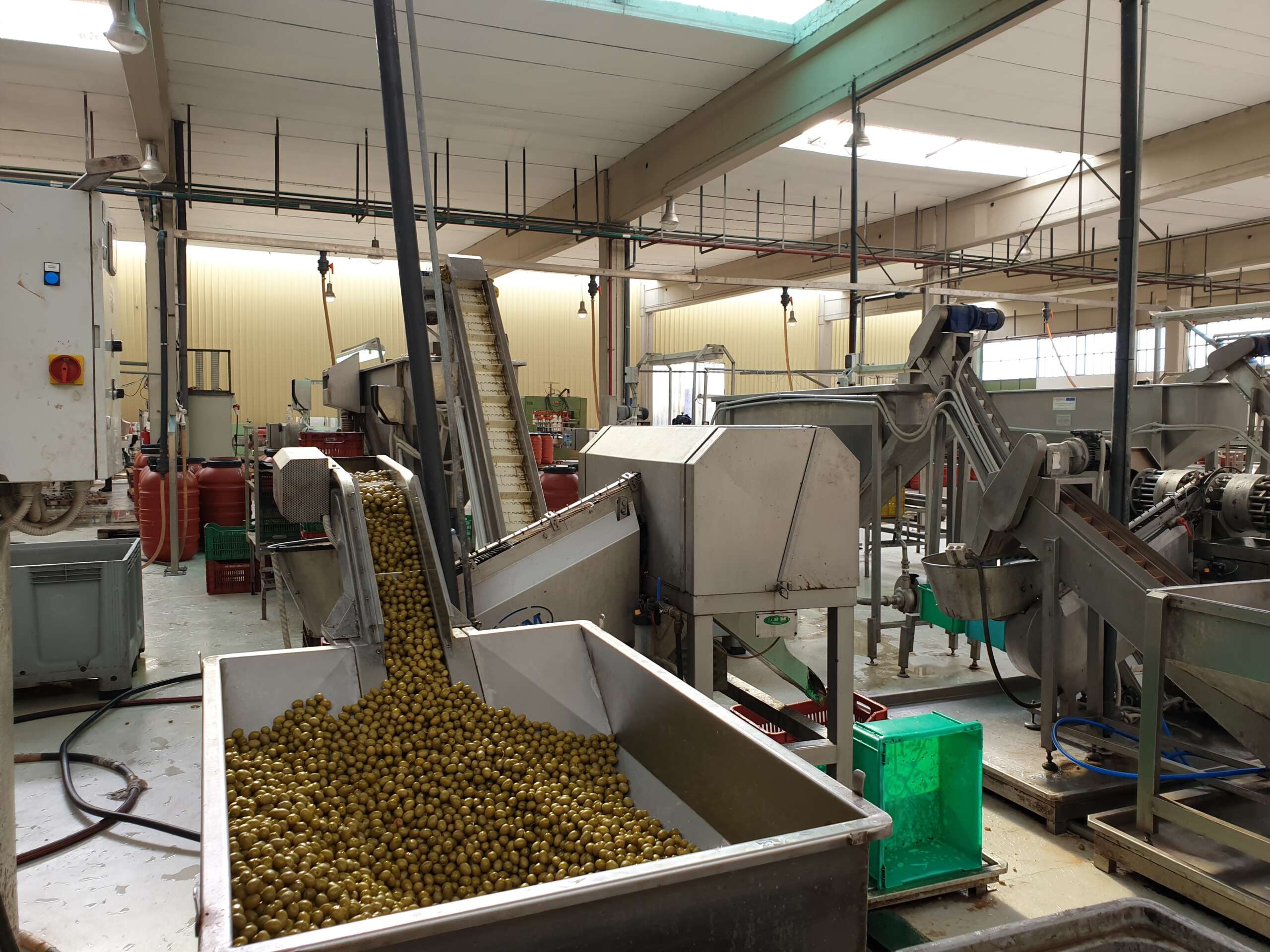 Olive kernel Analyses - Analysis - Fakourelis Nikos